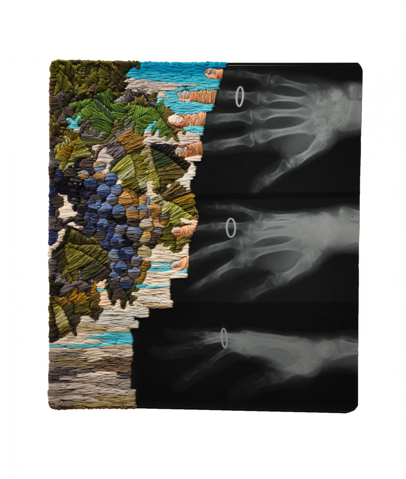 Matthew Cox – Fiberspace